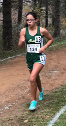 Girls State Meet History