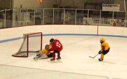 PeeWee Challenge: Preview and Predictions
