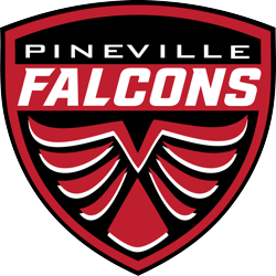 Falcons House Coaches