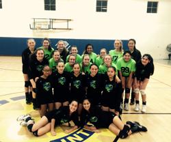 BVA Volleyball Club About