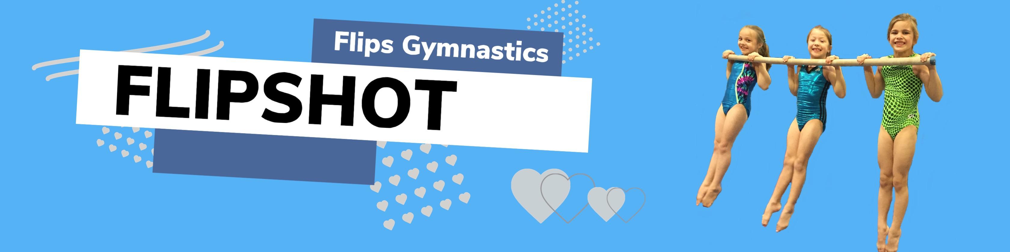 Classes Offered at Flips