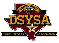 About DSYSA
