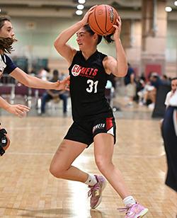 2023 CoBL Summer Discoveries