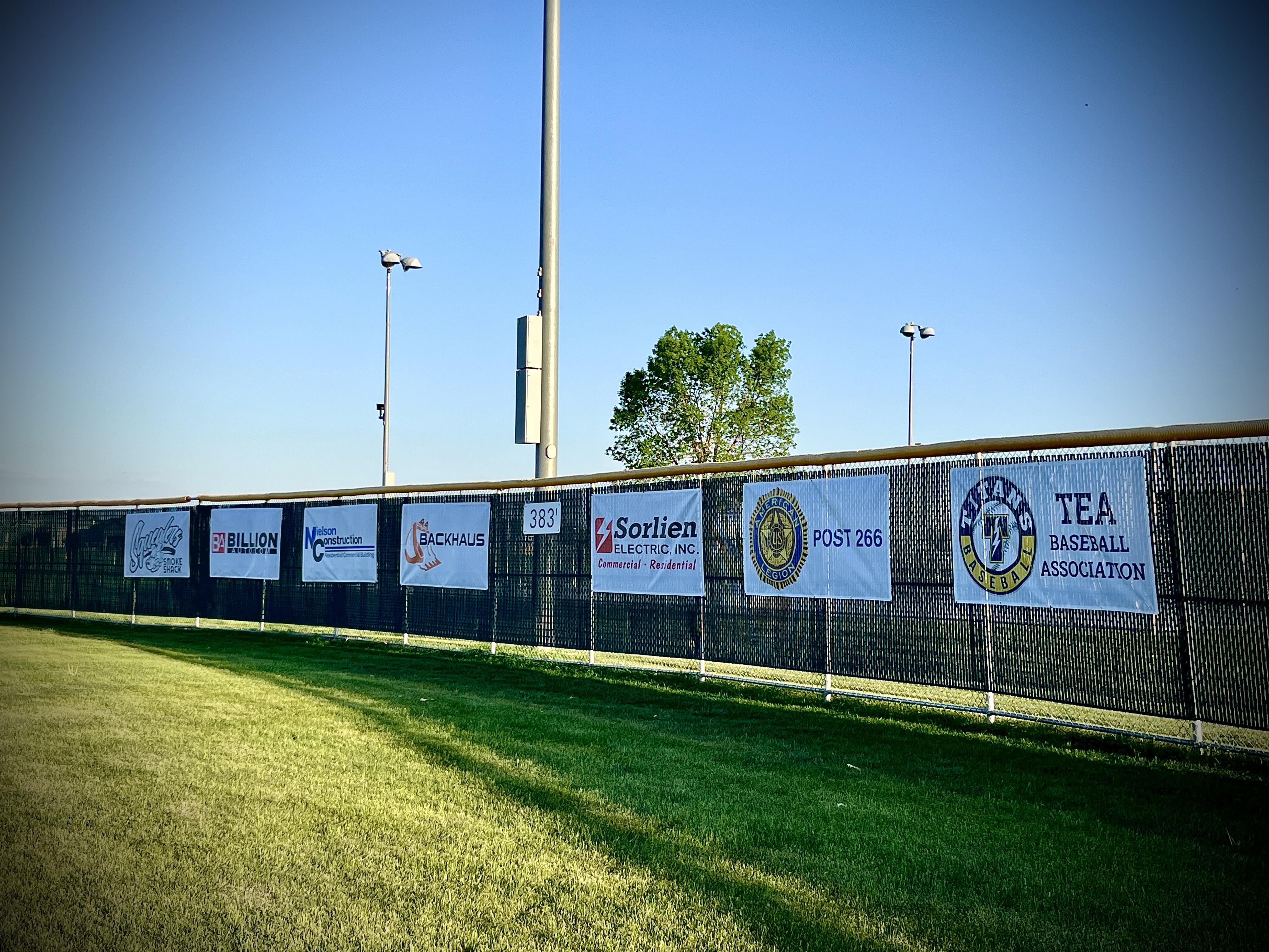 Tea Baseball Association