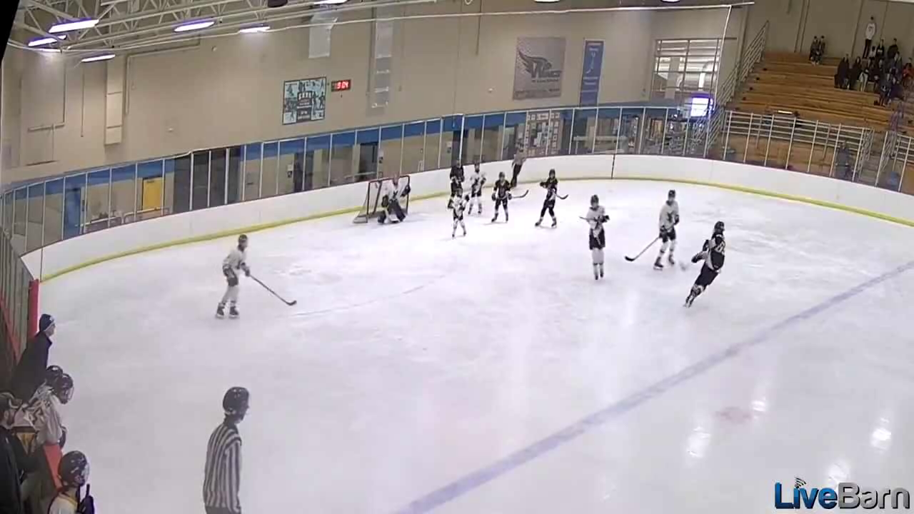 Waukesha County Youth Hockey Association | Video